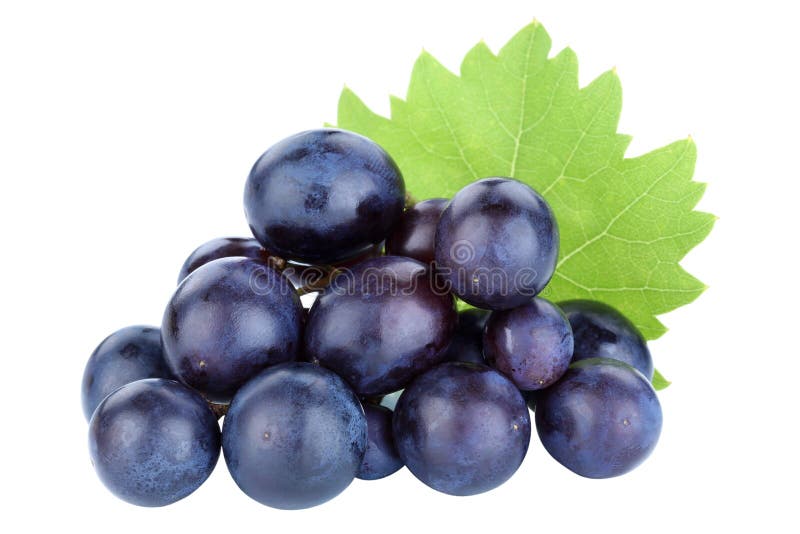 Grapes Fruits Grape Fruit Blue Isolated on White Stock Image - Image of ...