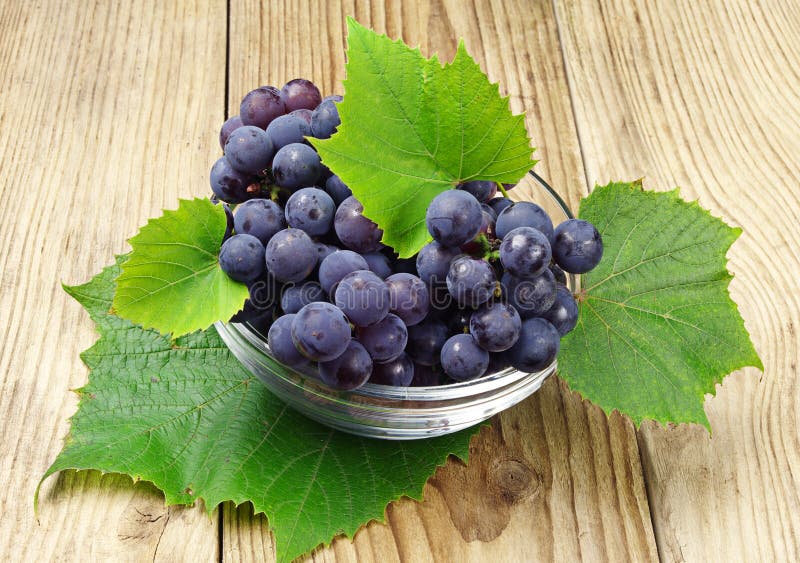 Cup of grapes stock photo. Image of drink, tasty, fresh - 22316686