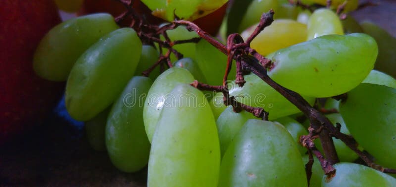 Grapes group with apple stock photo. Image of yellow - 214862036