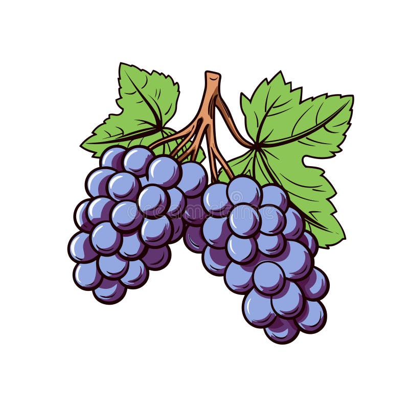 Grapes Hand-drawn Illustration. Grapes. Vector Doodle Style Cartoon ...