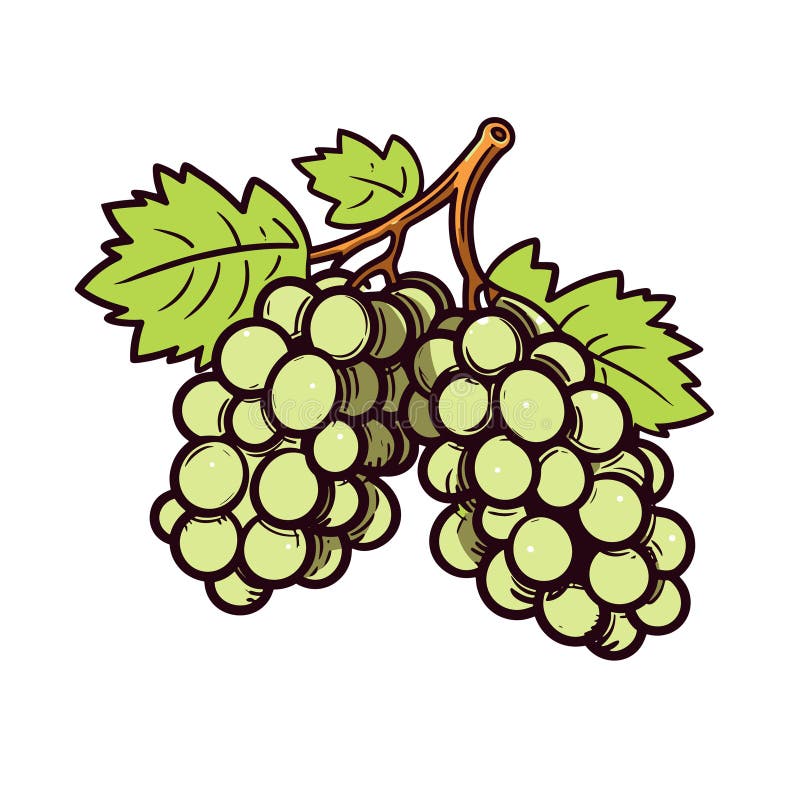 Grapes Hand-drawn Illustration. Grapes. Vector Doodle Style Cartoon ...