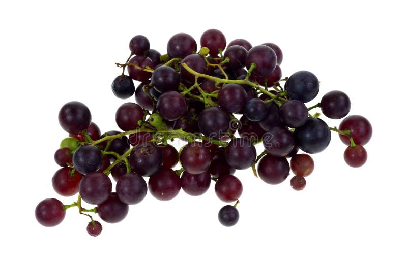 Grapes Home Grown on White stock image. Image of green - 28191337