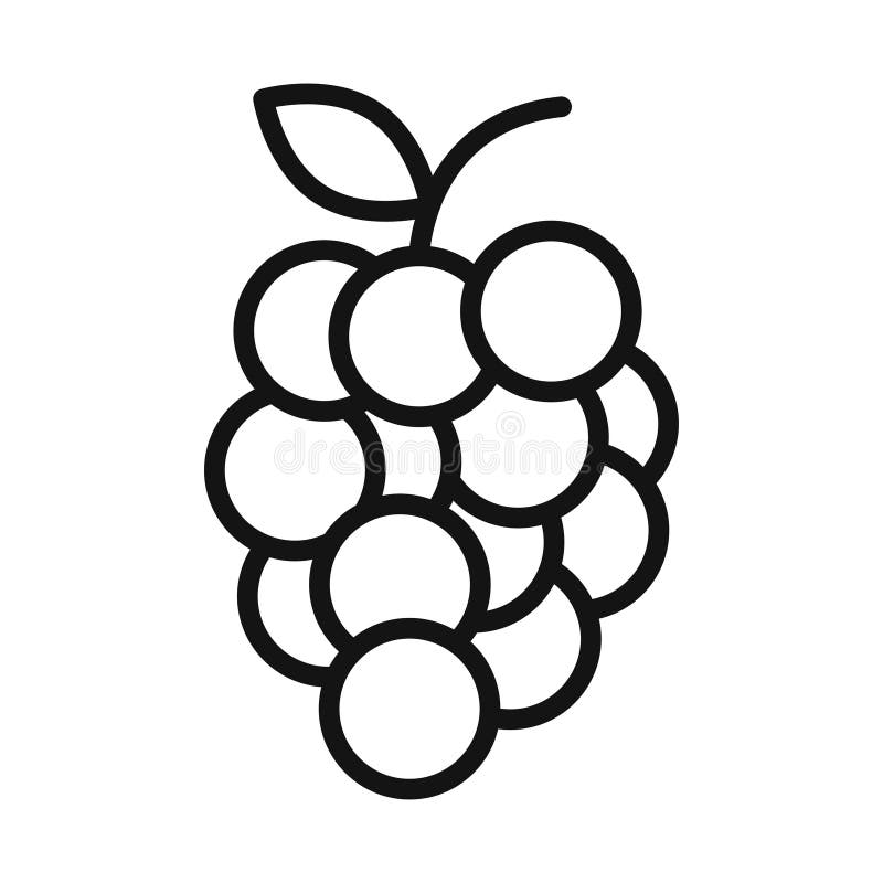 Grapes Icon Symbol on White Background Stock Vector - Illustration of ...