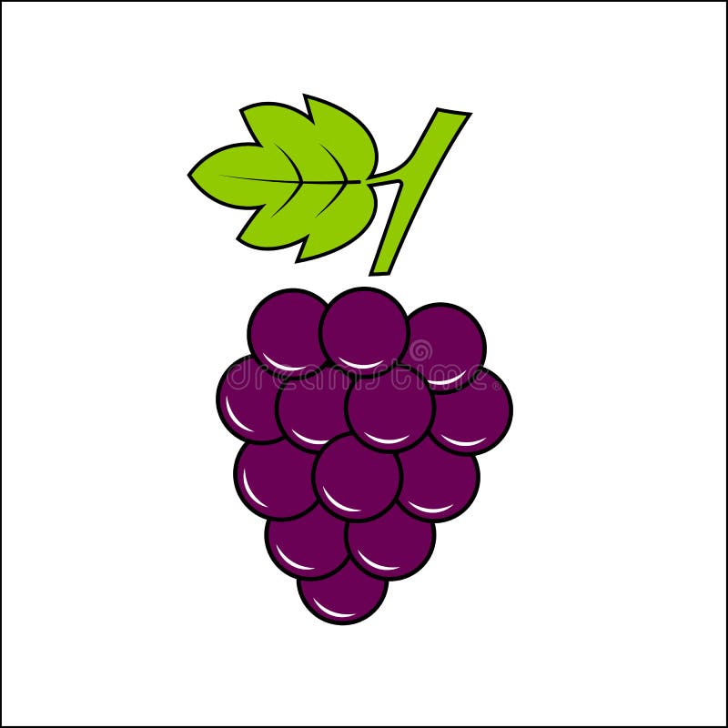 Grapes Icon Set, Red, White and Monochrome. Different Grape Vine Types ...