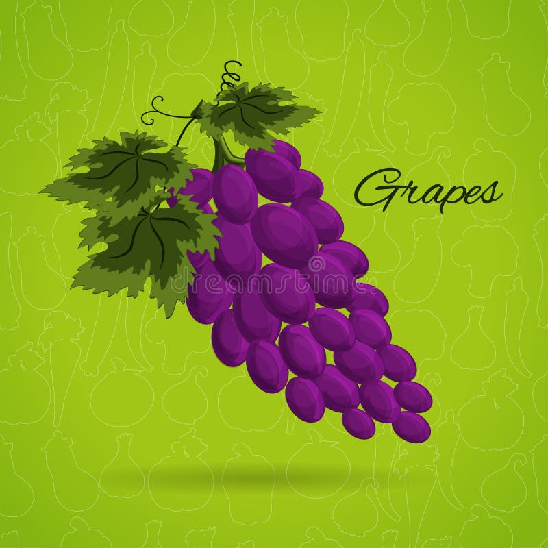 Grapes an Illustration in a Retro Style. Stock Vector - Illustration of ...