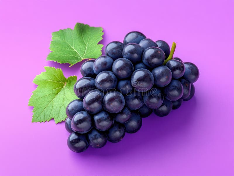 Grapes with Leaf on Purple Background Stock Image - Image of plant ...