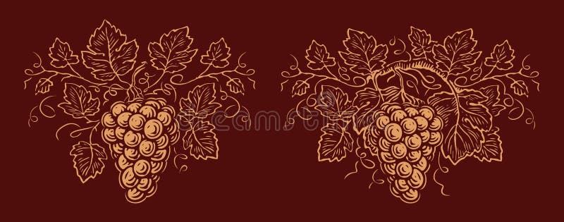 Grapes and Leaves. Bunch Grapevine Ornament Wine. Vineyard, Winery ...