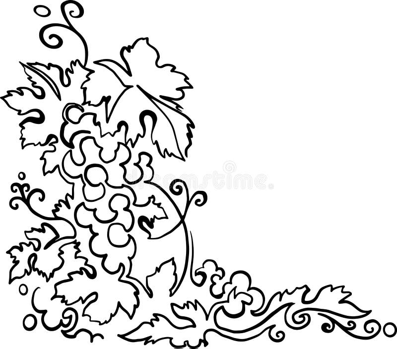 Single Line Drawing Grapes Stock Illustrations – 42 Single Line Drawing ...