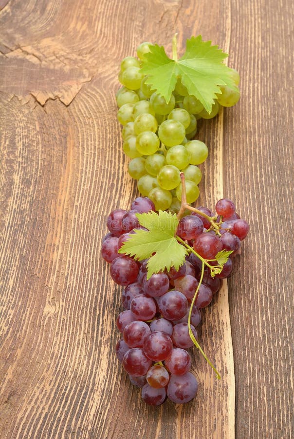 Grapes with leaves stock photo. Image of health, leaf - 57952188