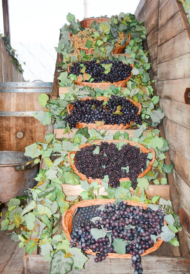 Grapes on the market stock image. Image of vegetables - 79107365