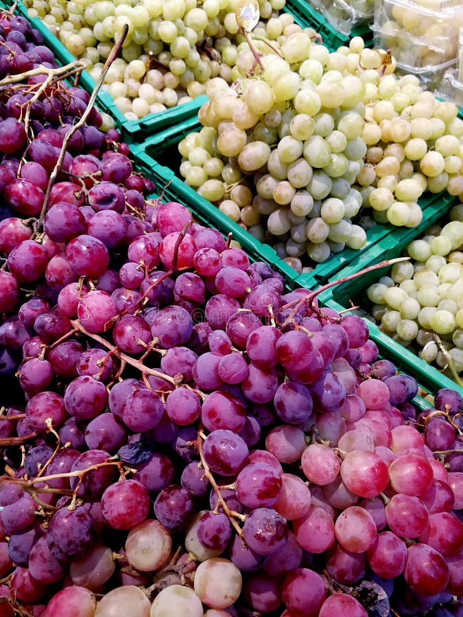 Grapes in the market stock image. Image of basket, food - 102654531