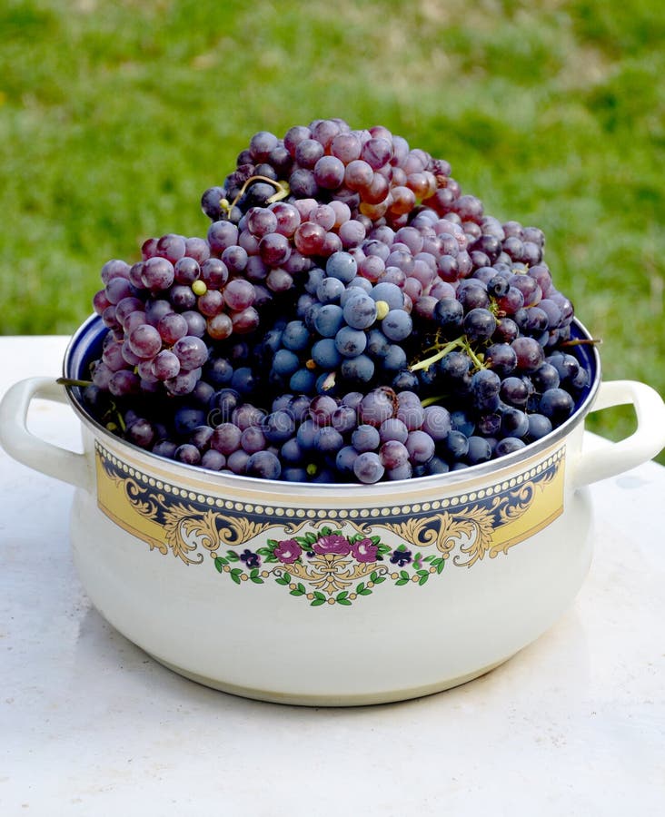 Grapes in the metal pot stock photo. Image of grape, retro - 35046814