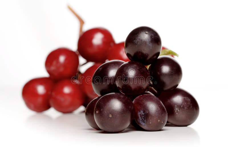 Grapes mix stock image. Image of ingredient, healthy - 51668961