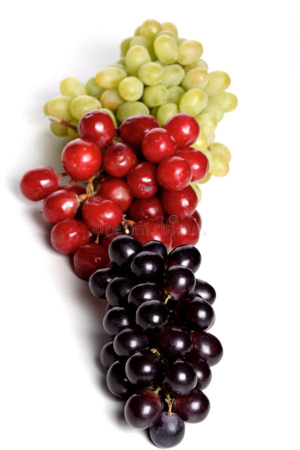 Grapes stock image. Image of juicy, group, grow, closeup - 51664349