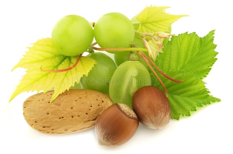Grapes with nuts stock photo. Image of green, hard, bright - 10735230