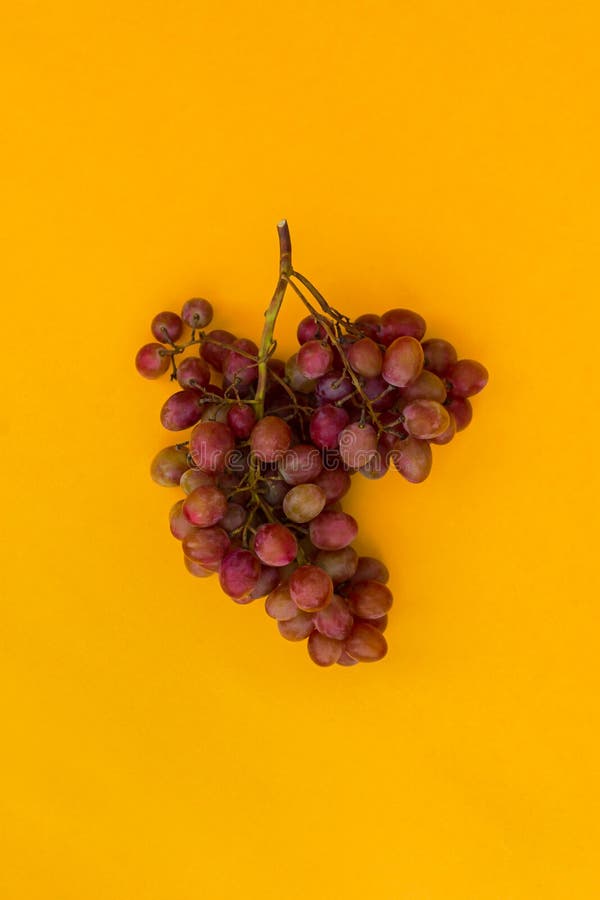 Grapes Orange Background. Creative Flat Layout Vertical Composition ...