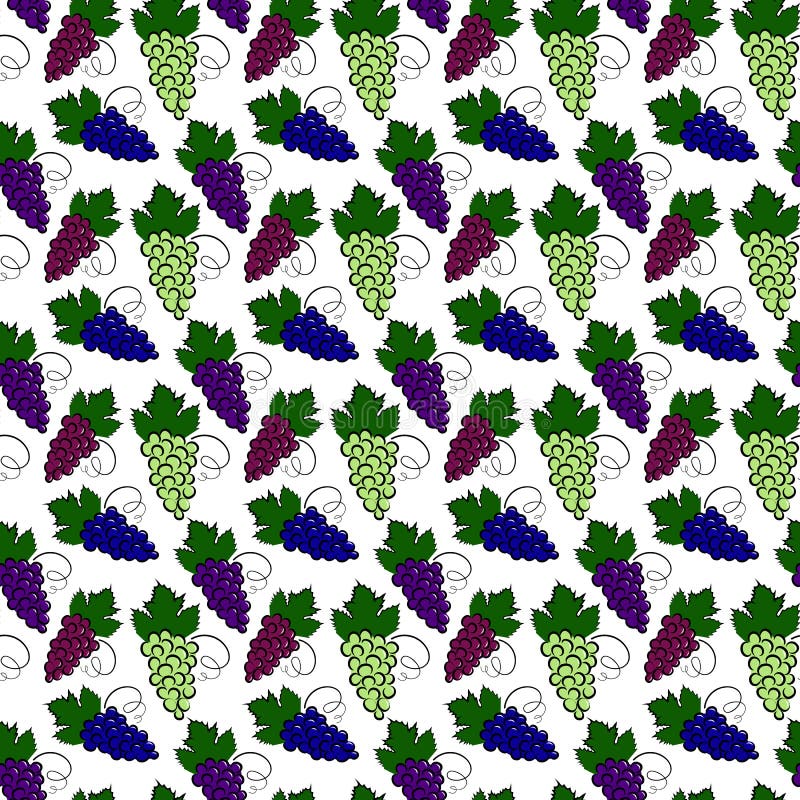 Grapes pattern stock vector. Illustration of wine, pattern - 43897949