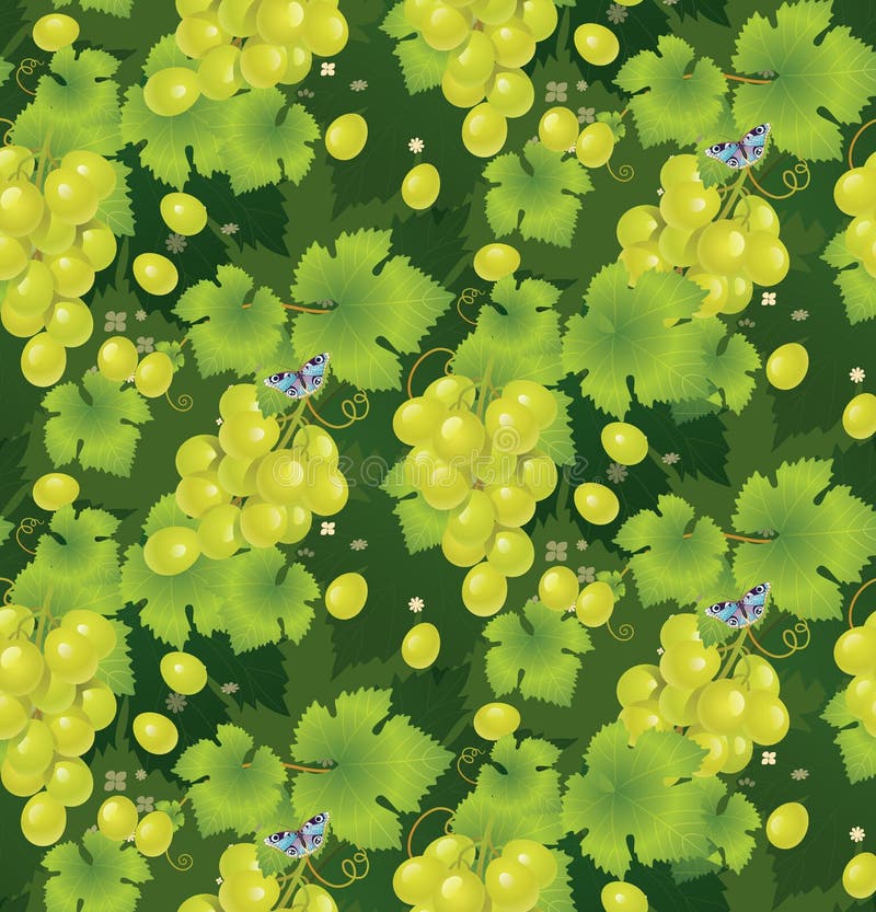Grapes Patterns Backgrounds Seamless. Stock Illustration - Illustration ...