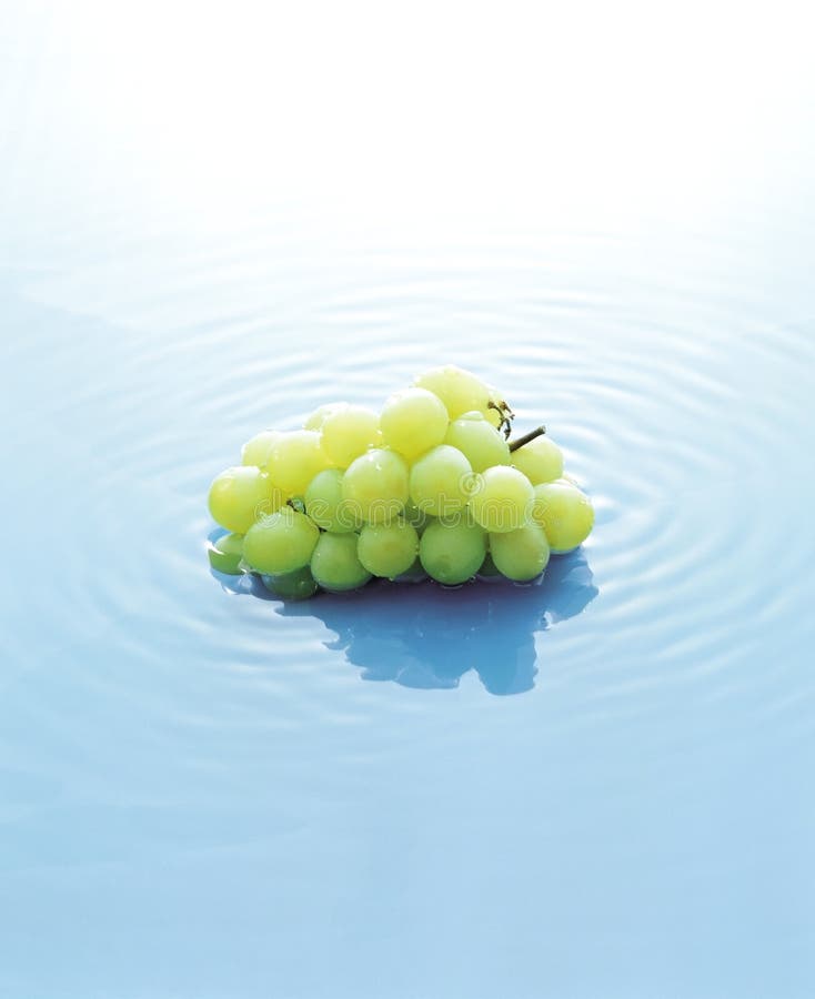 Grapes in a Pool of Water stock image. Image of still - 17881623
