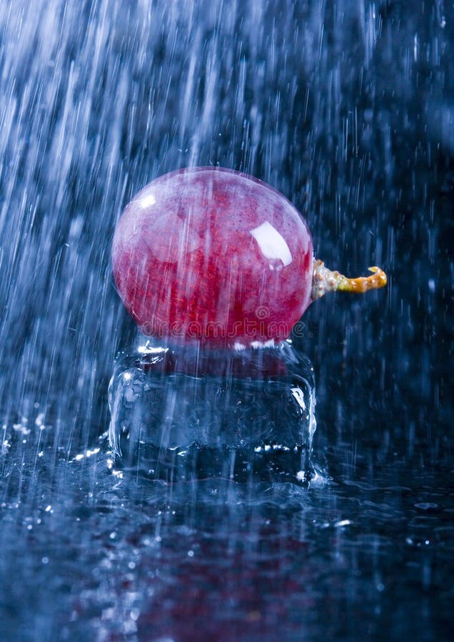 Grapes in the rain stock photo. Image of beauty, foodcollection - 2180780