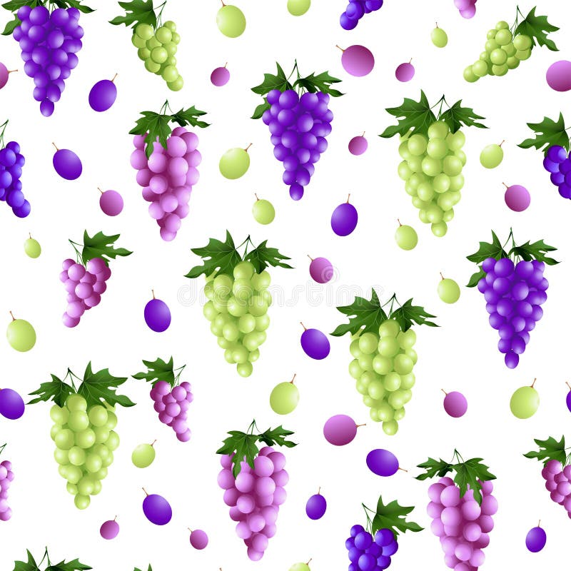 Grapes. Seamless pattern stock vector. Illustration of grape - 117413872