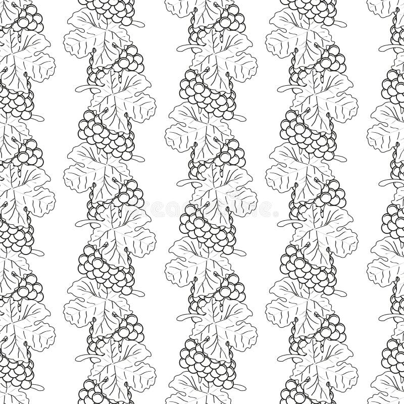 Grapes seamless pattern stock vector. Illustration of grapevine - 46003016