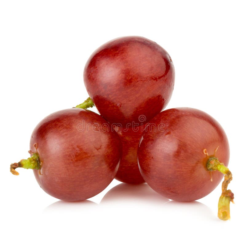 1,868 Single Grapevine Stock Photos - Free & Royalty-Free Stock Photos ...