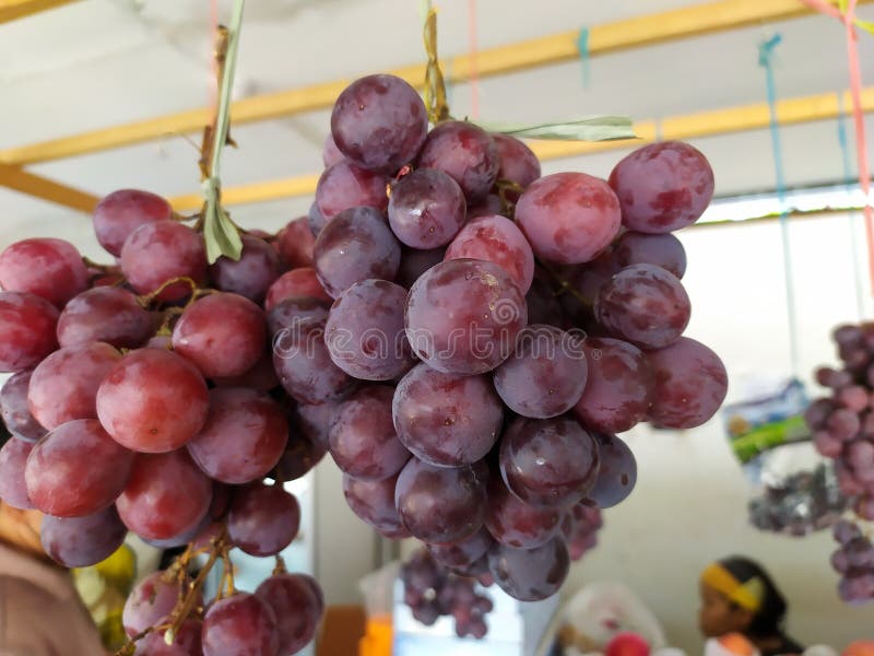 Grapes Sold at the Fruit Shop by the Roadside Stock Photo - Image of ...