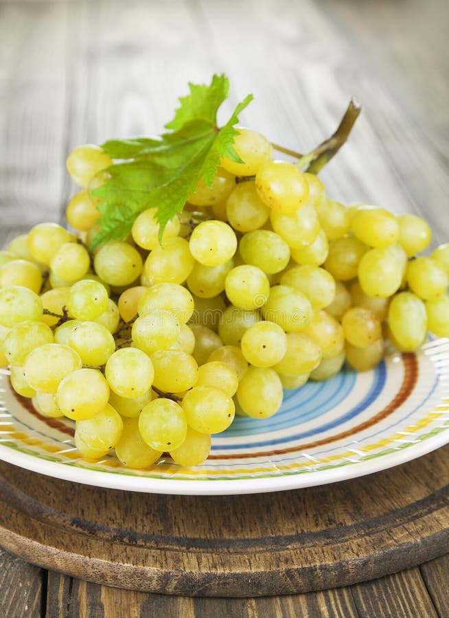 Grapes on a striped plate stock image. Image of plate - 33566173