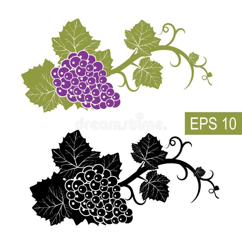 Grapes symbols stock vector. Illustration of design, ornate - 35412259