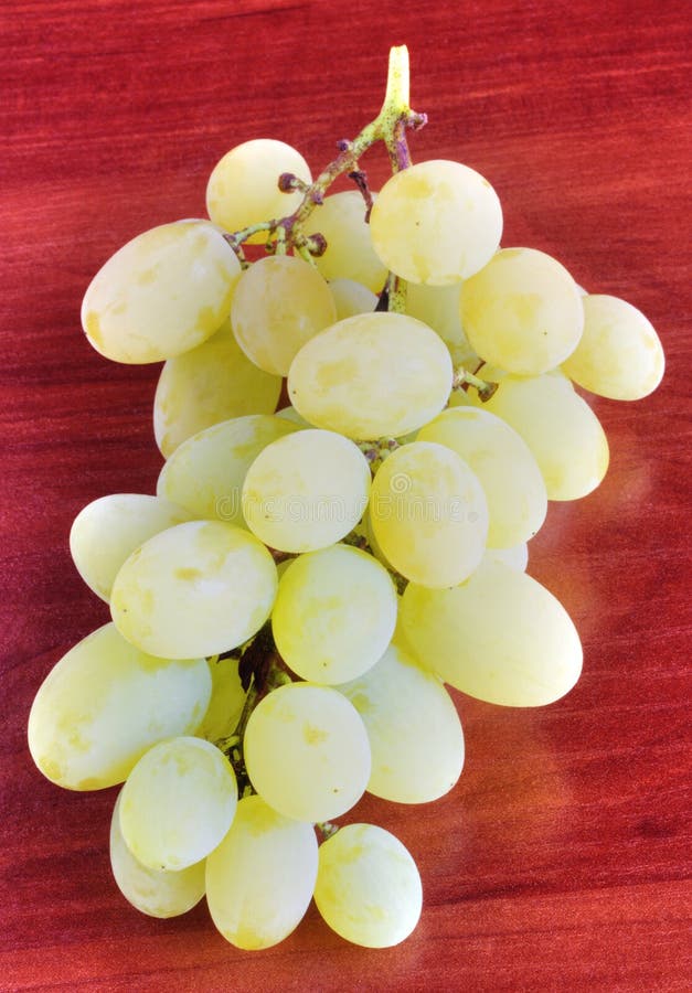 Grapes on table stock photo. Image of breakfast, ingredient - 45207926