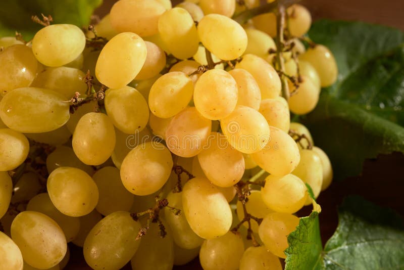 Grapes on a table stock photo. Image of berry, rustic - 78231912
