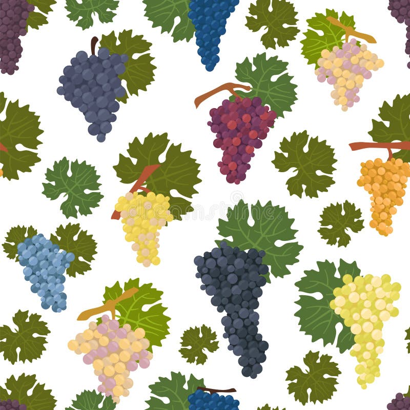 Grapes Varieties for Wine Seamless Pattern Stock Vector - Illustration ...