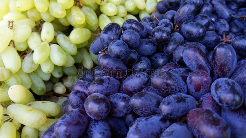 Grapes with Variety Colours Market Front View Stock Photo - Image of ...