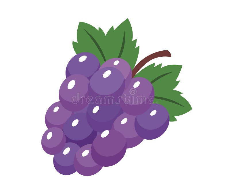 Grapes Vector Illustration. Flat Design. Stock Illustration ...