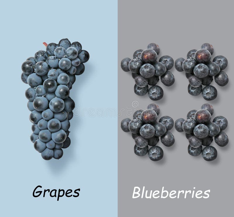 Grapes Vs Blueberries on Grey and Blue Background Stock Photo - Image ...