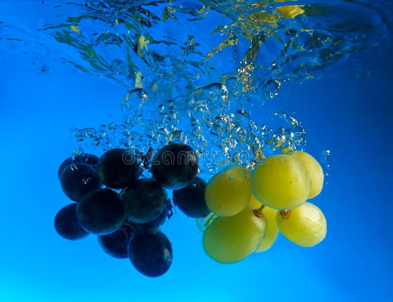 Grapes in water stock image. Image of drop, flowing, beauty - 9350377