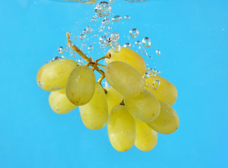 Grapes in water stock photo. Image of food, green, fruit - 32223444