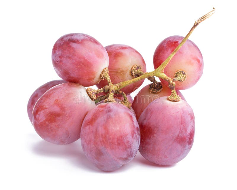 Red Grape with Half Sliced and Seeds Stock Image - Image of drop ...