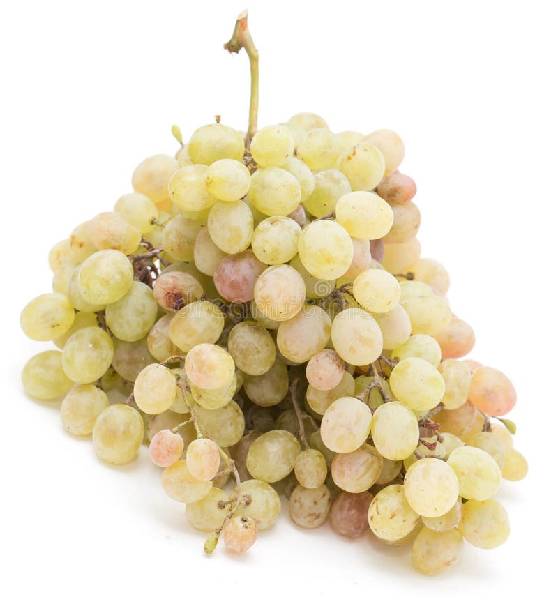 Grapes on a White Background Stock Photo - Image of food, healthy: 88863350
