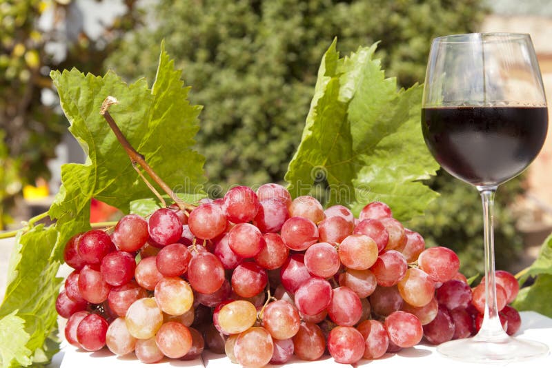 Grapes and wine stock image. Image of drink, grape, superfood - 26642805