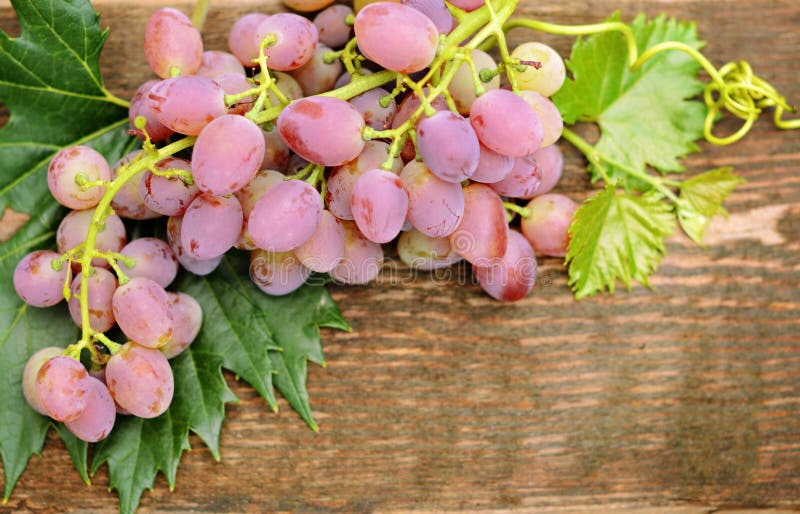 Grapes on wood stock photo. Image of drinks, vineyard - 33036092