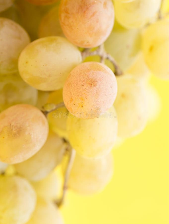 Grapes on a Yellow Background Stock Image - Image of dessert, autumn ...