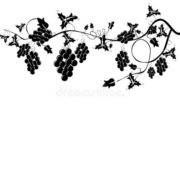 Grapevine Border Corner Stock Illustrations – 126 Grapevine Border ...