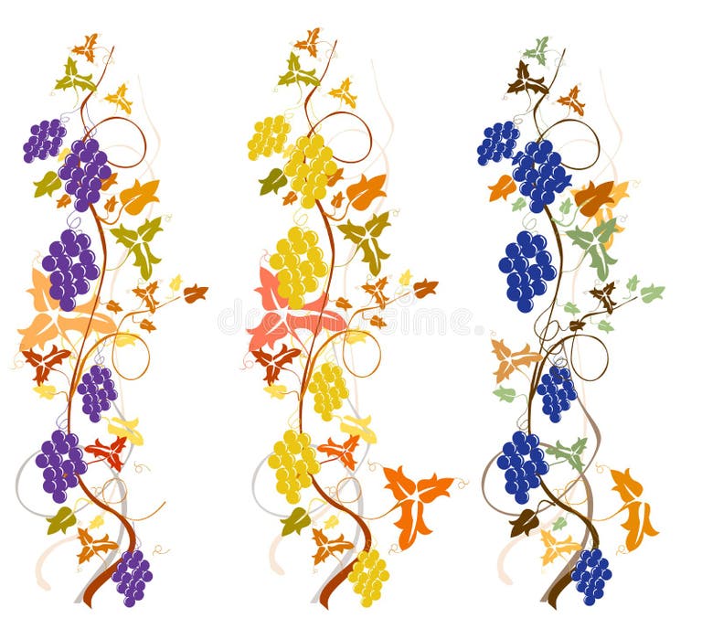 Grapevine Tree Stock Illustrations – 1,595 Grapevine Tree Stock ...