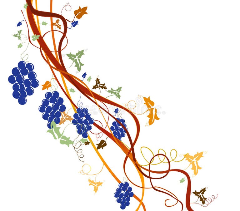 Grapevine Border Autumn Stock Illustrations – 610 Grapevine Border ...