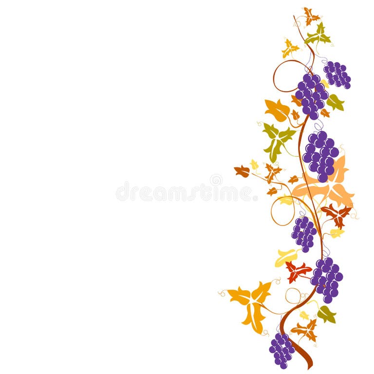 Grapevine Border Autumn Stock Illustrations – 610 Grapevine Border ...