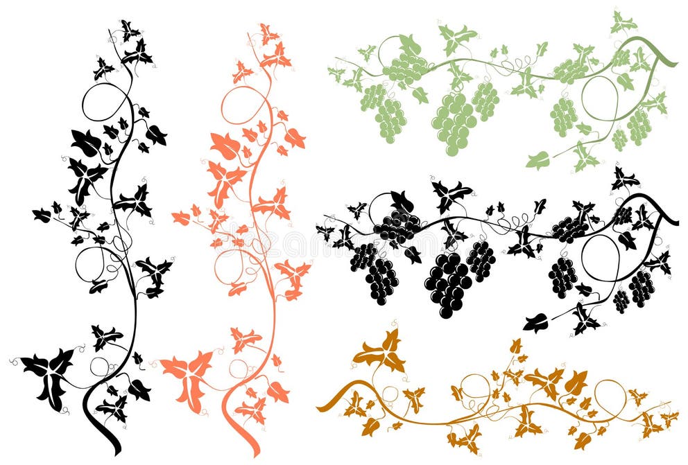 Grapevine Symbol Stock Illustrations – 3,787 Grapevine Symbol Stock ...