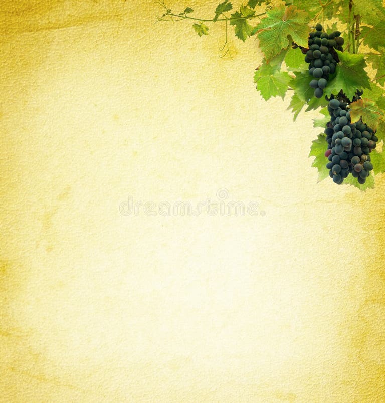 Grapevine Wallpaper Stock Illustrations – 2,496 Grapevine Wallpaper ...