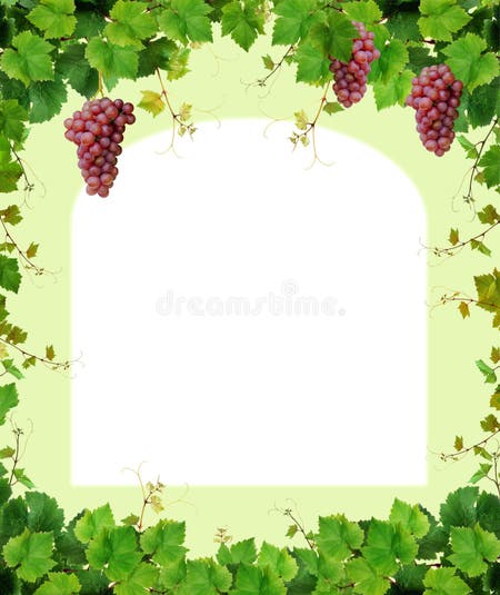697 Grapevine Border Wine Grapes Stock Photos - Free & Royalty-Free ...